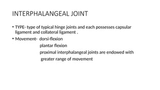Human anatomy, joints of foot in human anatomy | PPTX