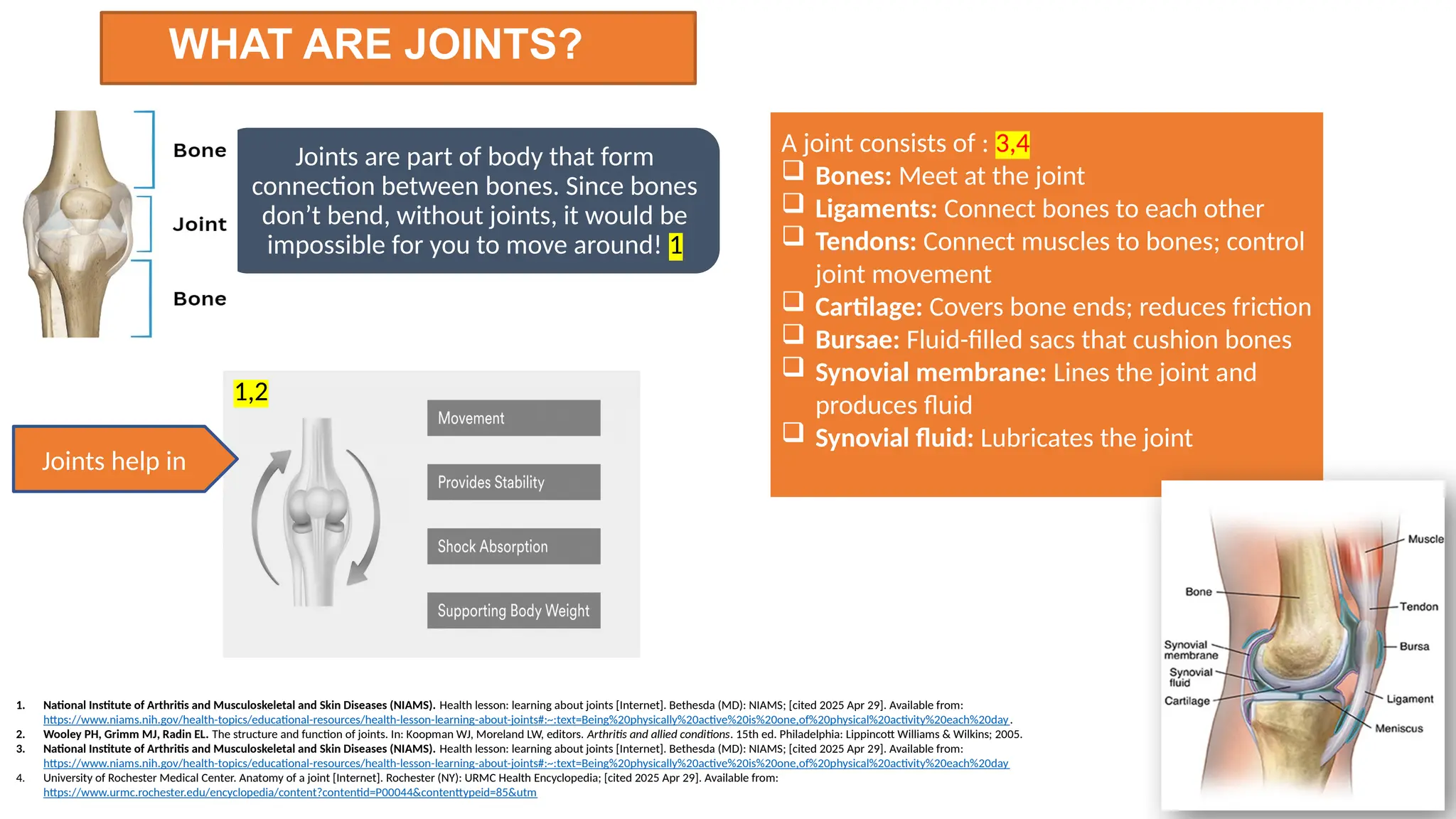 JOINT PAIN.pptx, All you need to know about joint pain, ergonomics and ...