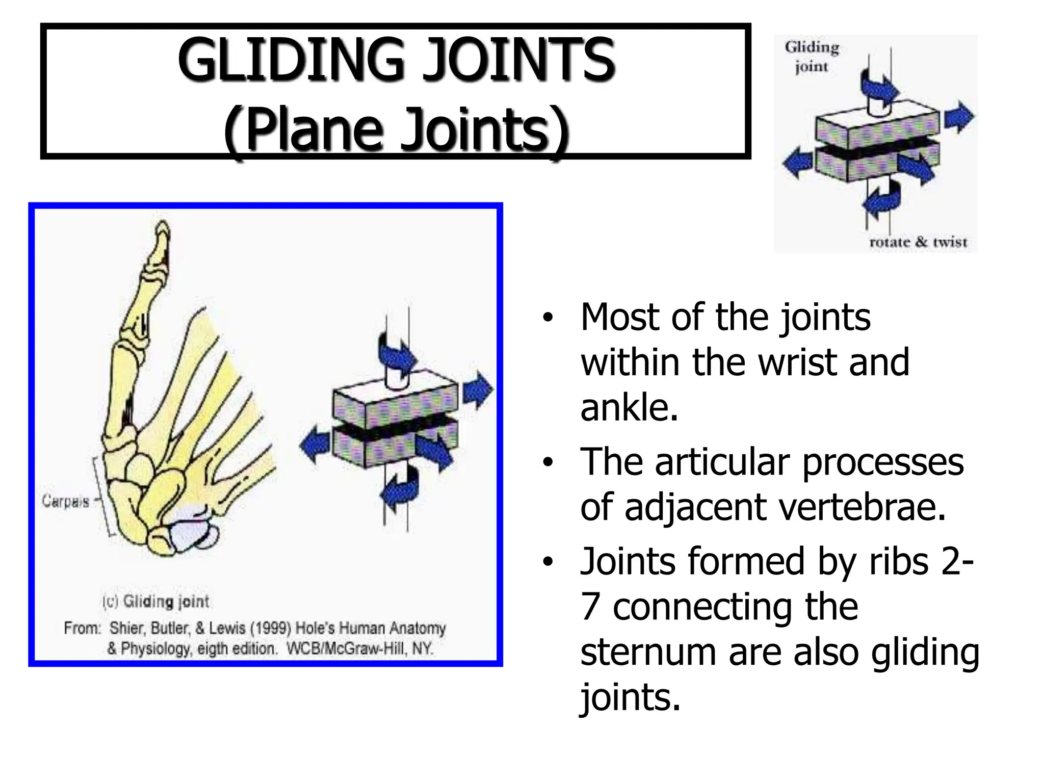 joint part 2.pptx11111111111111111111111 | PPTX