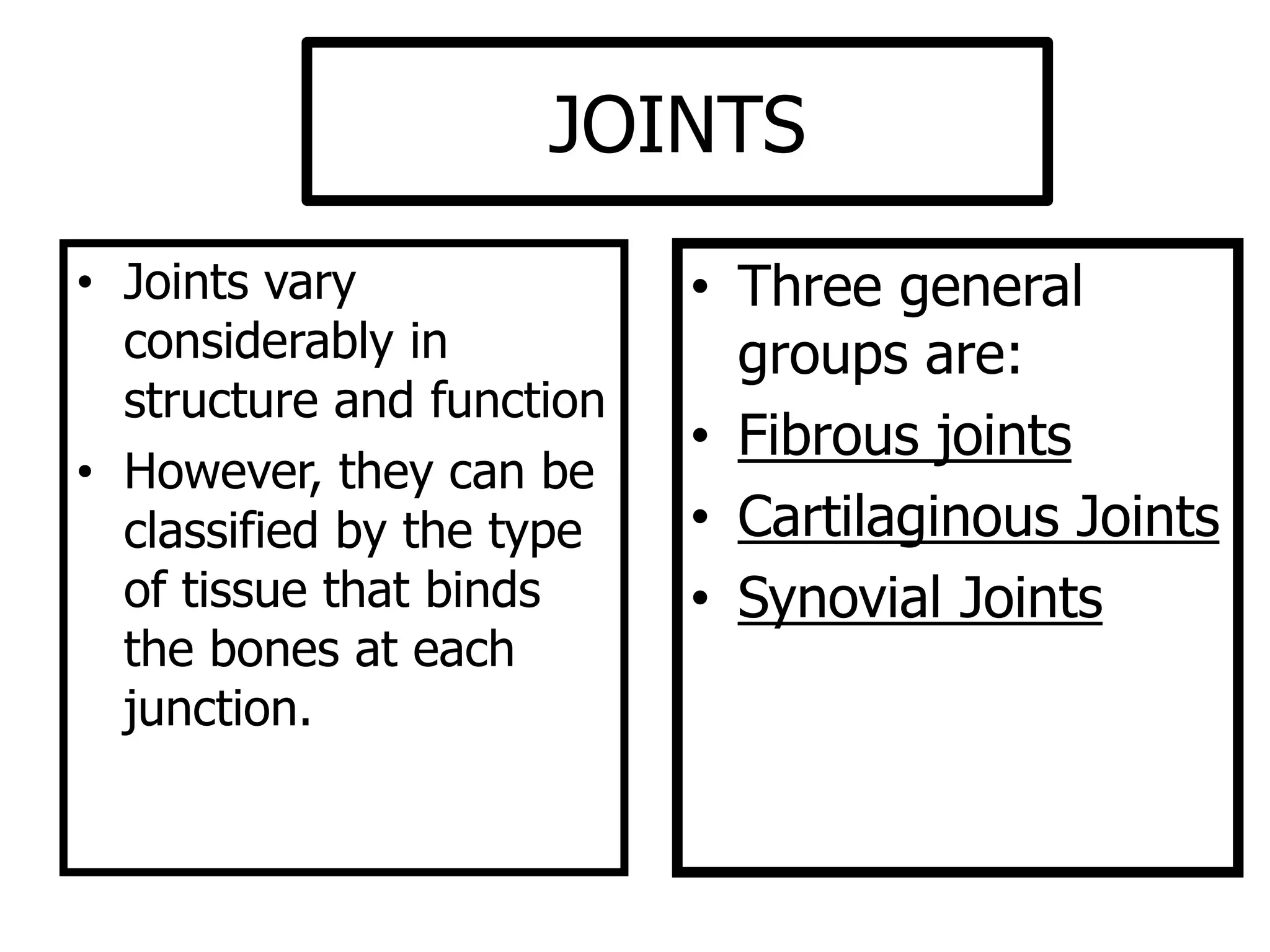 joint part 2.pptx11111111111111111111111 | PPTX