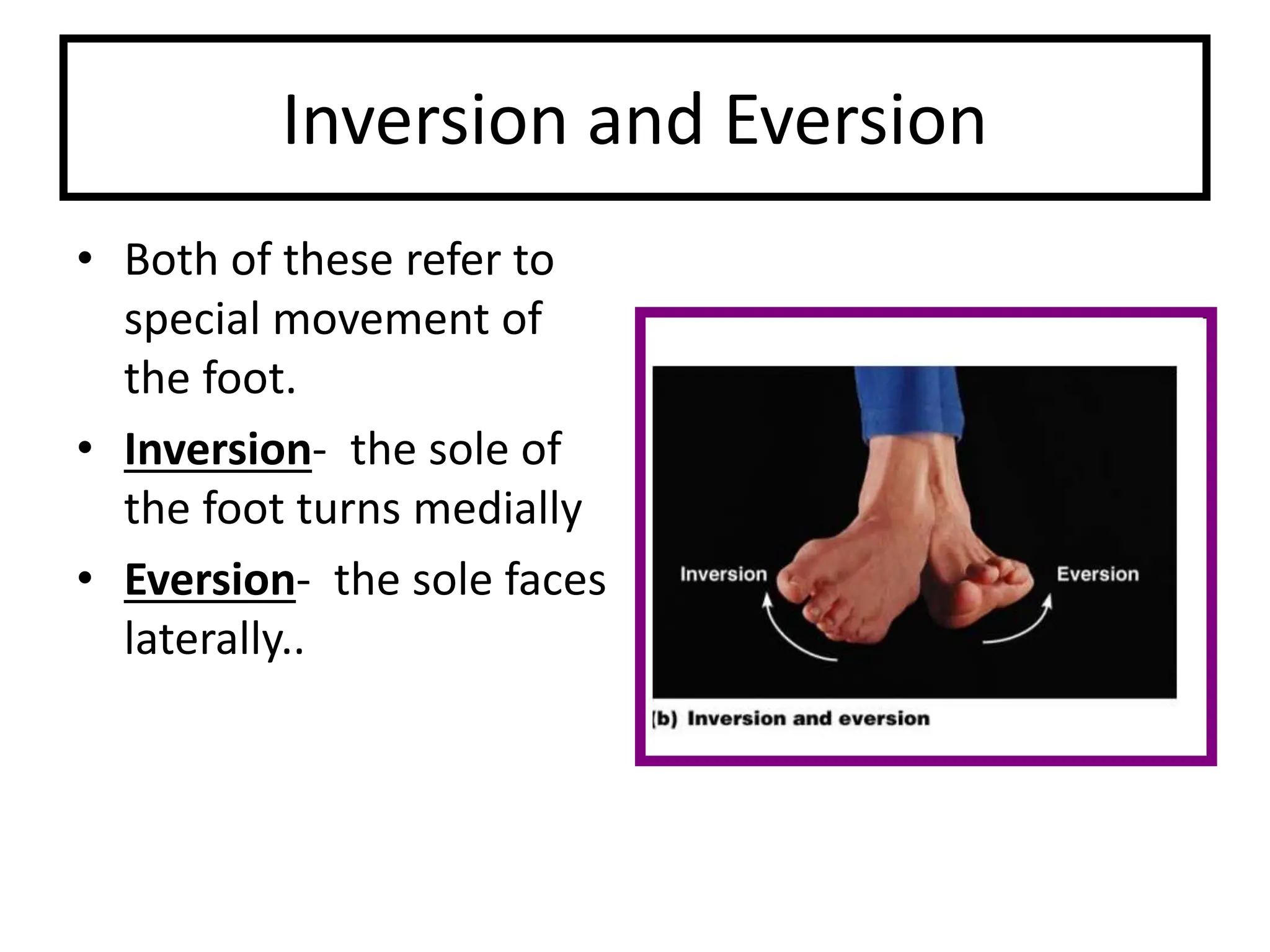 joint part 2.pptx11111111111111111111111 | PPTX