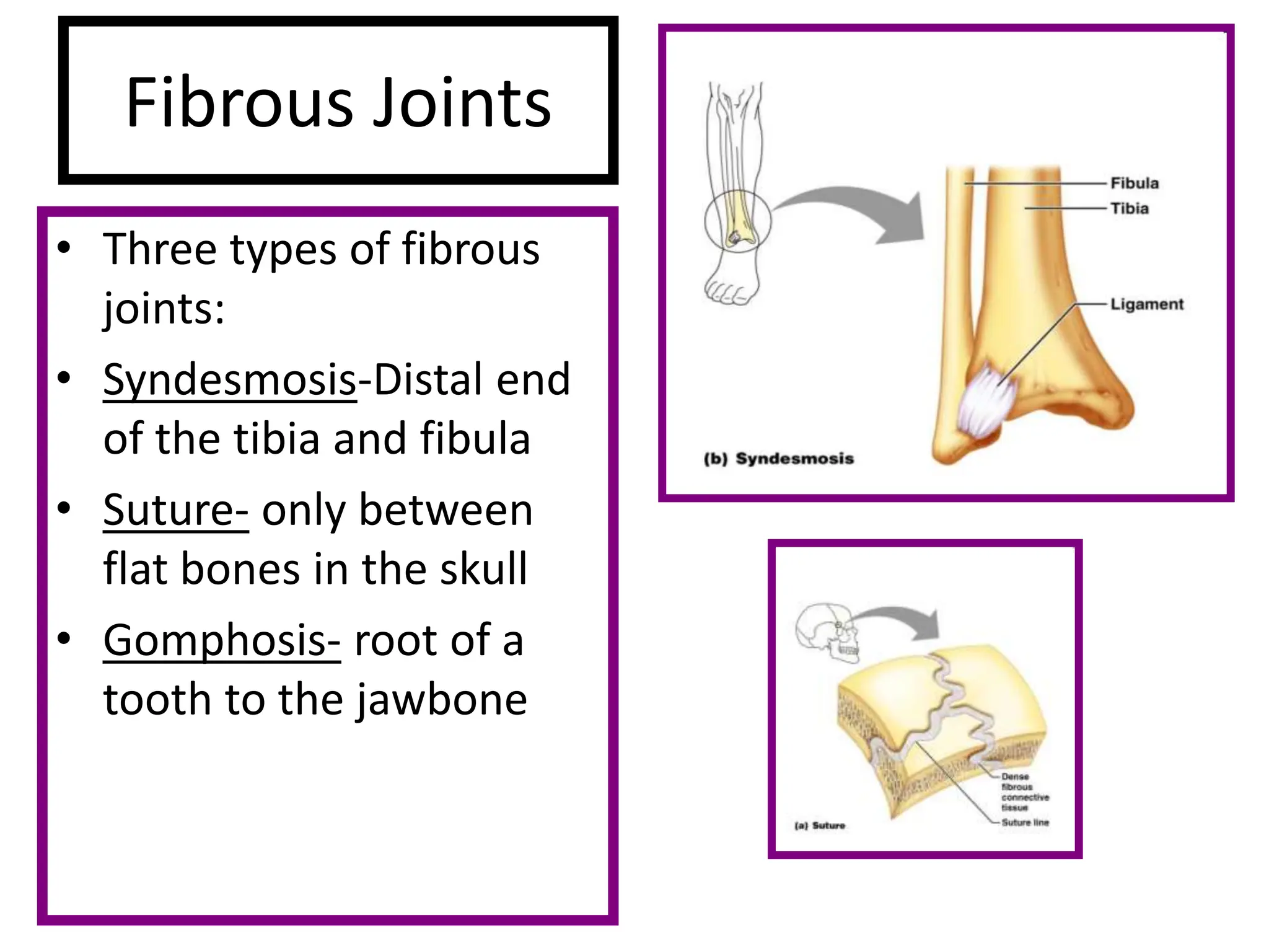 joint part 2.pptx11111111111111111111111 | PPTX