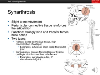 Joint physiology module | PPSX