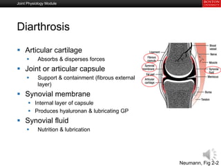 Joint physiology module | PPSX