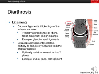 Joint physiology module | PPSX