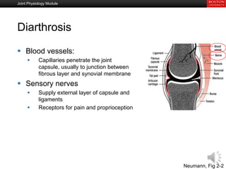 Joint physiology module | PPSX