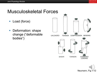 Joint physiology module | PPSX