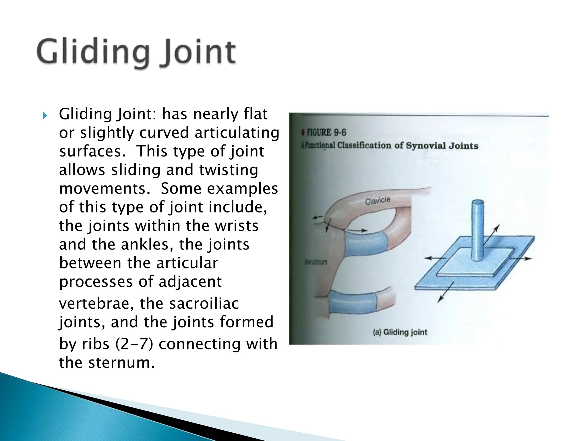 Unit V: The Joints Anatomy & physiology | PPT