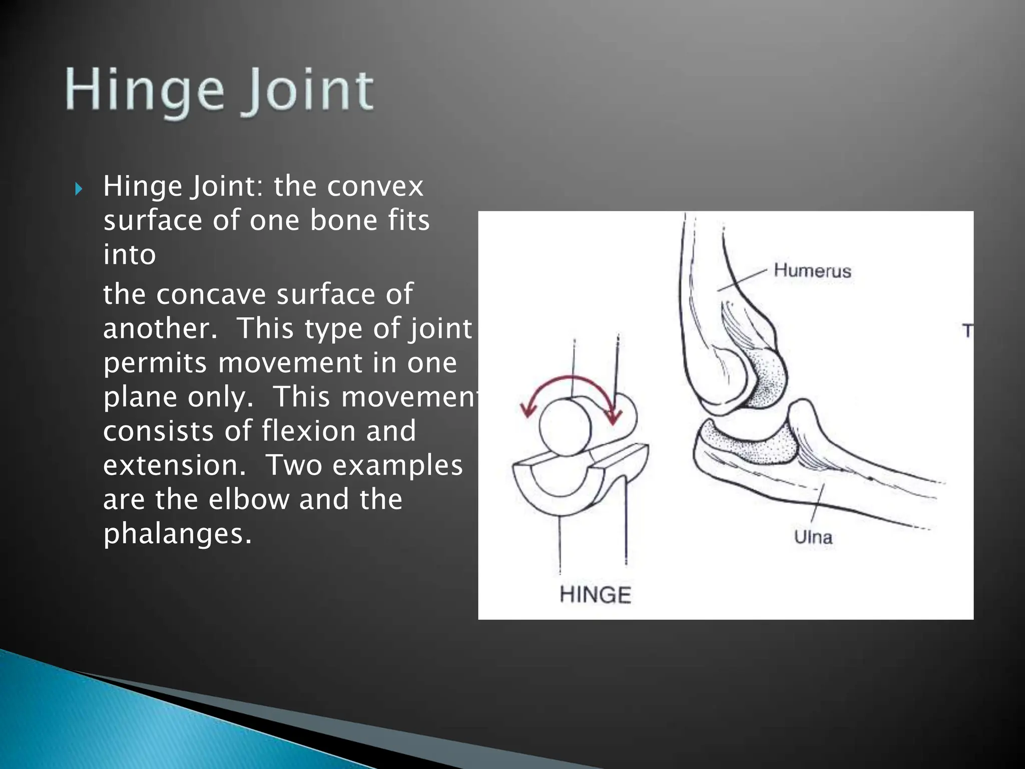 Unit V: The Joints Anatomy & physiology | PPT