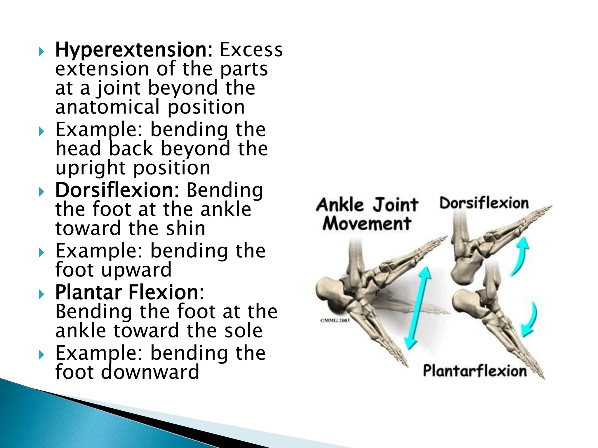 Unit V: The Joints Anatomy & physiology | PPT