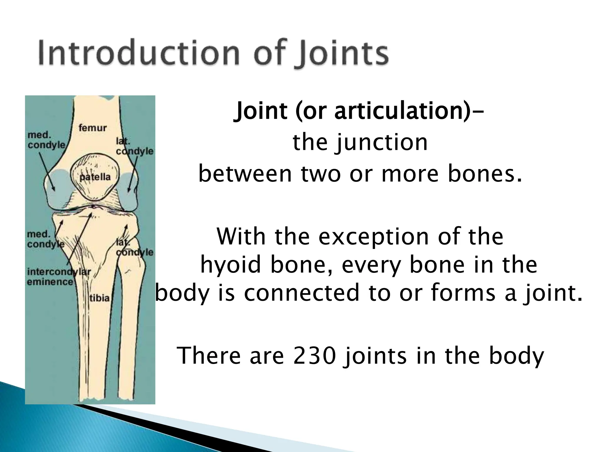 Unit V: The Joints Anatomy & physiology | PPT