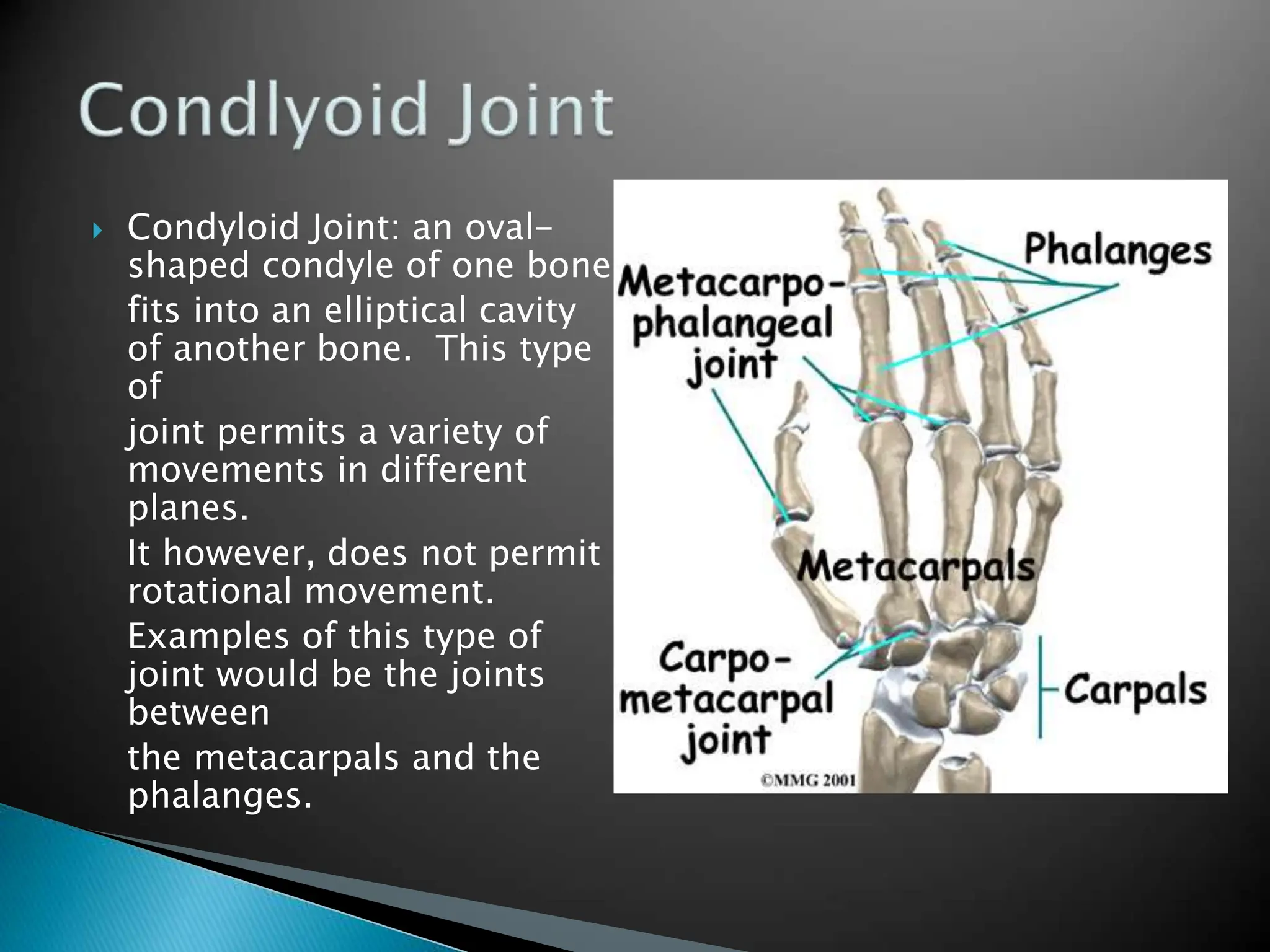 Unit V: The Joints Anatomy & physiology | PPT