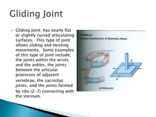 Unit V: The Joints Anatomy & physiology | PPT