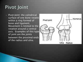Unit V: The Joints Anatomy & physiology | PPT