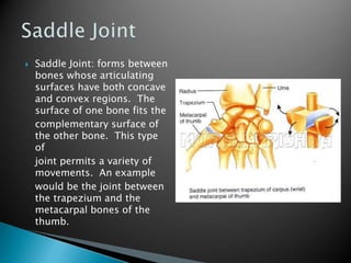 Unit V: The Joints Anatomy & physiology | PPT