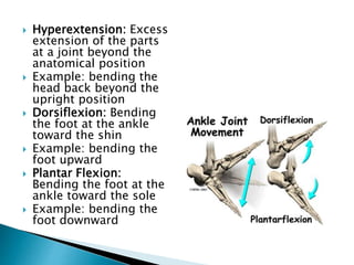 Unit V: The Joints Anatomy & physiology | PPT
