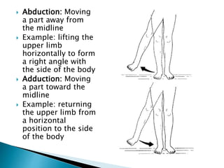 Unit V: The Joints Anatomy & physiology | PPT