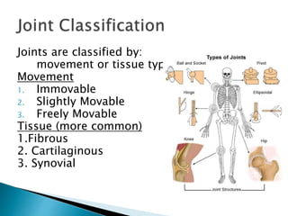 Unit V: The Joints Anatomy & physiology | PPT
