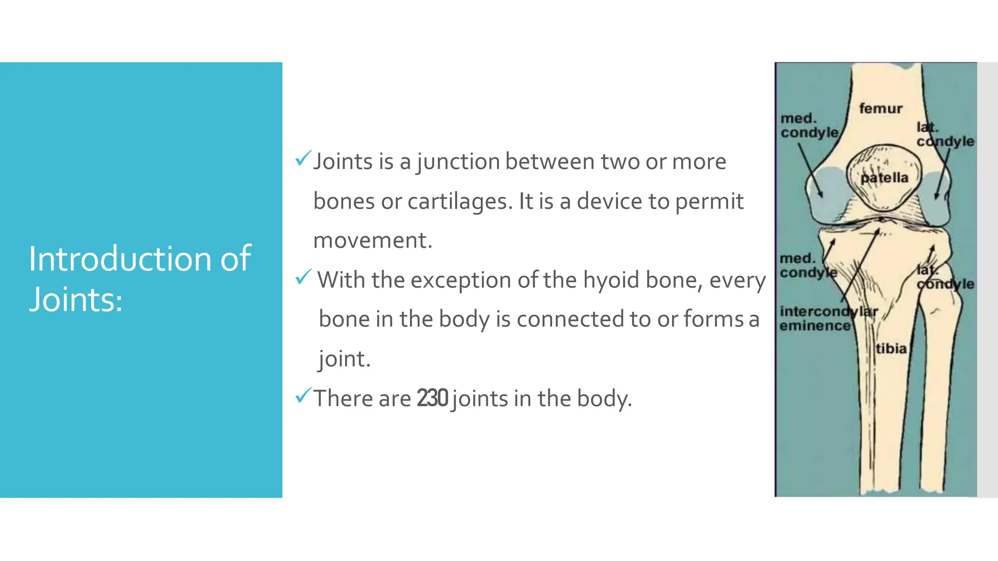 joints of human beings with different types | PPT