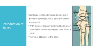 joints of human beings with different types | PDF
