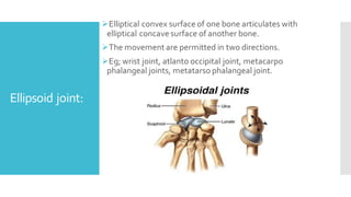 joints of human beings with different types | PDF