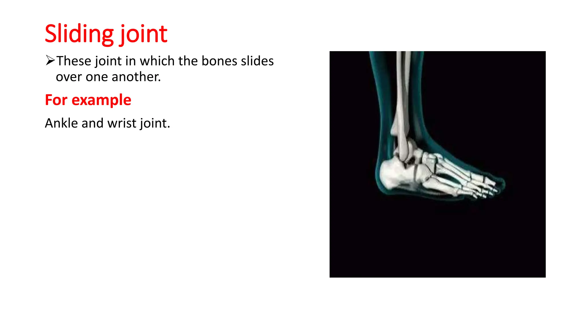 Joints, function and types of joints.pptx