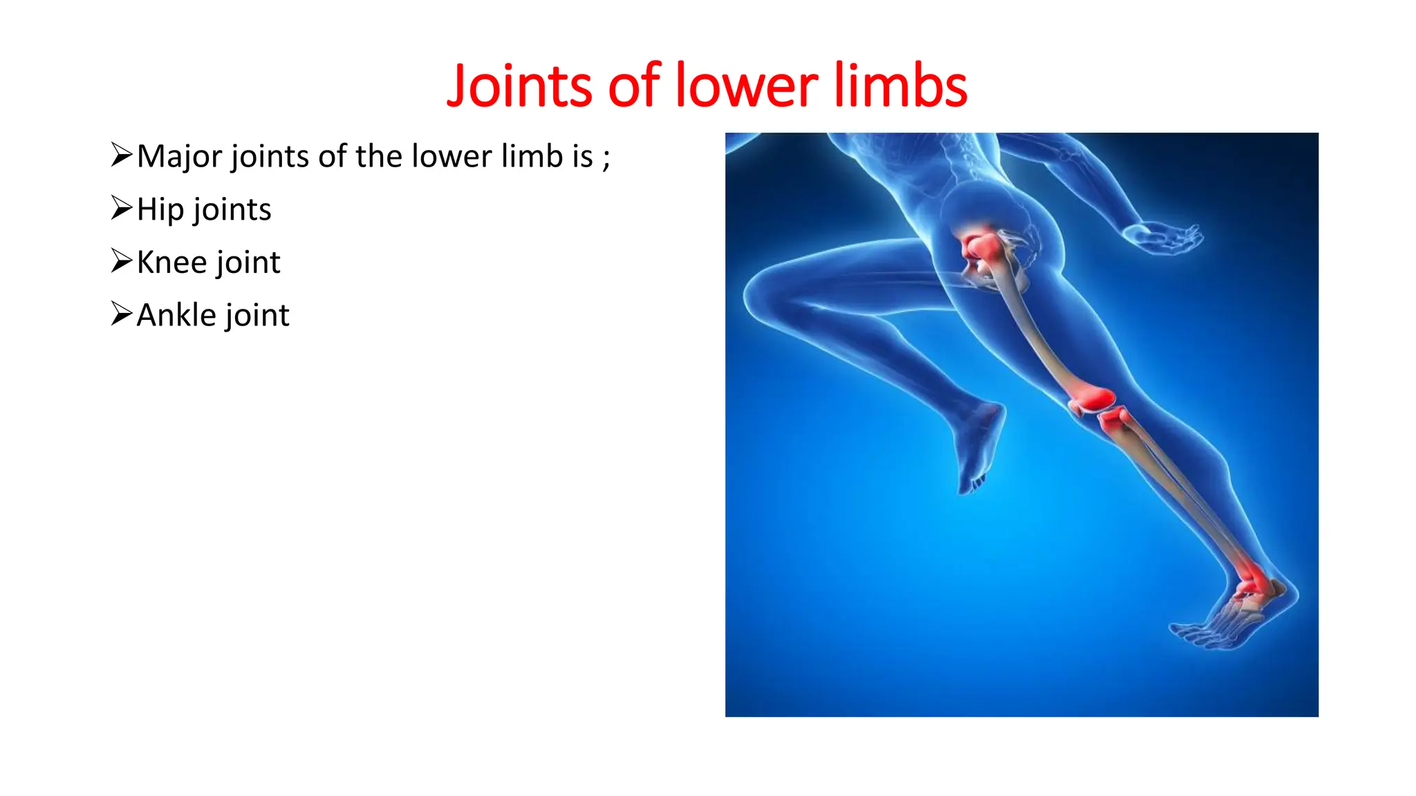 Joints, function and types of joints.pptx