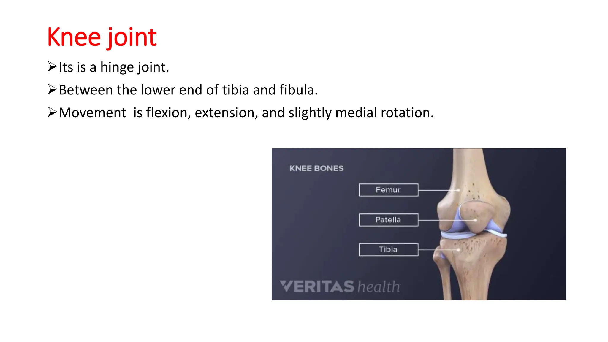 Joints, function and types of joints.pptx