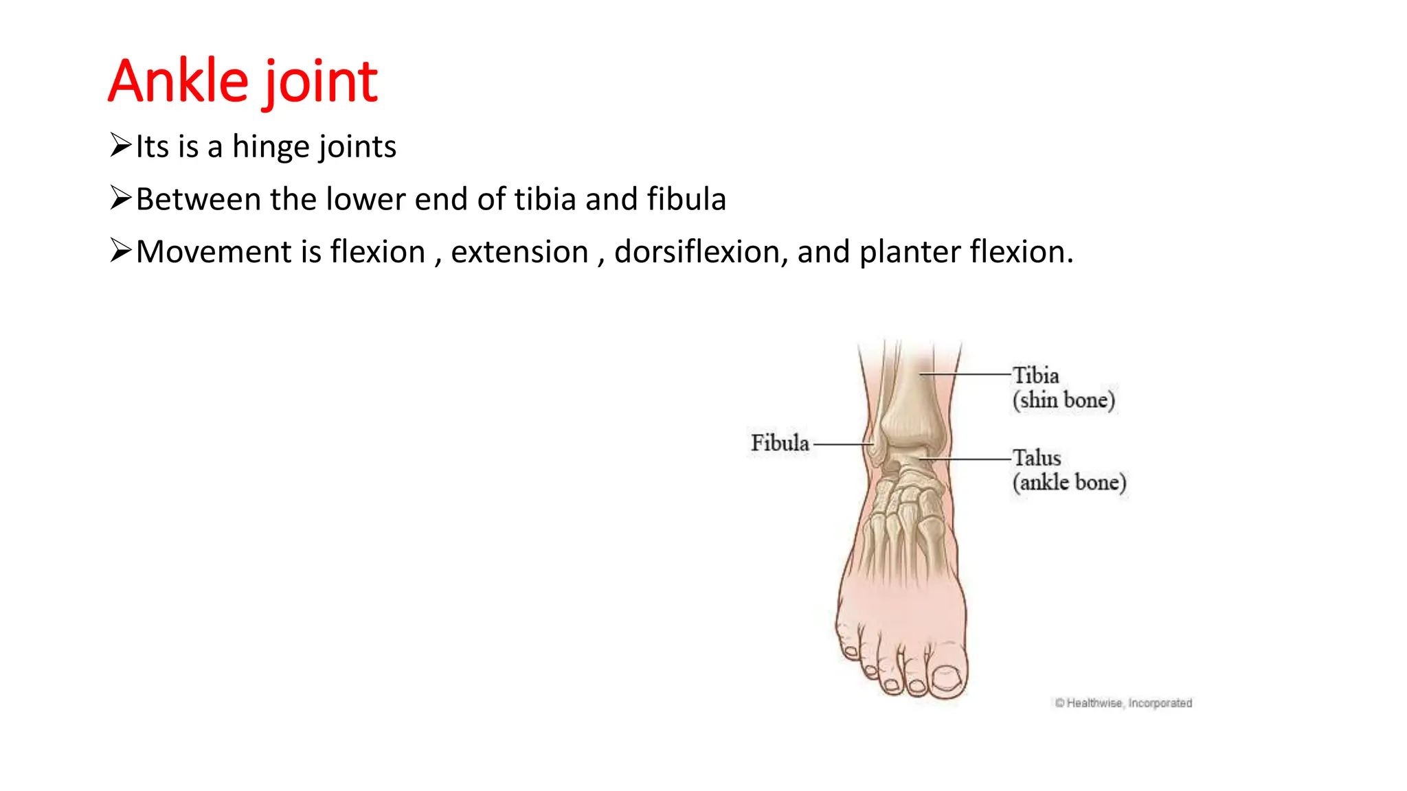 Joints, function and types of joints.pptx