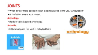 Joints, function and types of joints.pptx