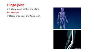 Joints, function and types of joints.pptx