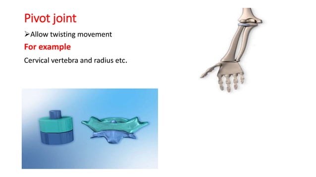 Joints, function and types of joints.pptx