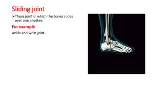 Joints, function and types of joints.pptx