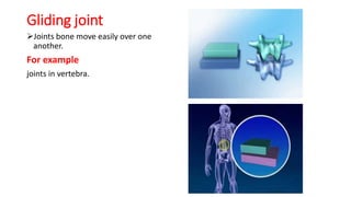 Joints, function and types of joints.pptx