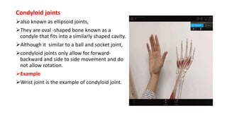 Joints, function and types of joints.pptx