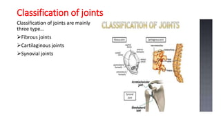 Joints, function and types of joints.pptx