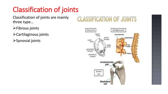 Joints, function and types of joints.pptx
