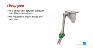 Joints, function and types of joints.pptx
