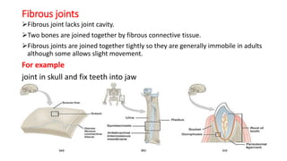 Joints, function and types of joints.pptx