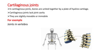 Joints, function and types of joints.pptx