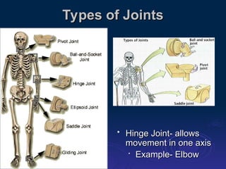 Basic level joints with positions and structures | PPT