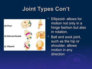 Basic level joints with positions and structures | PPT