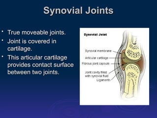 Basic level joints with positions and structures | PPT