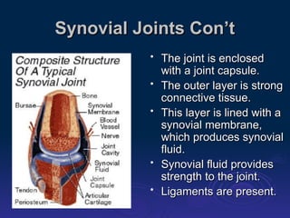Basic level joints with positions and structures | PPT