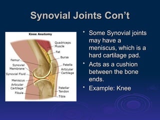 Basic level joints with positions and structures | PPT