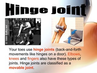 Joints | PPT