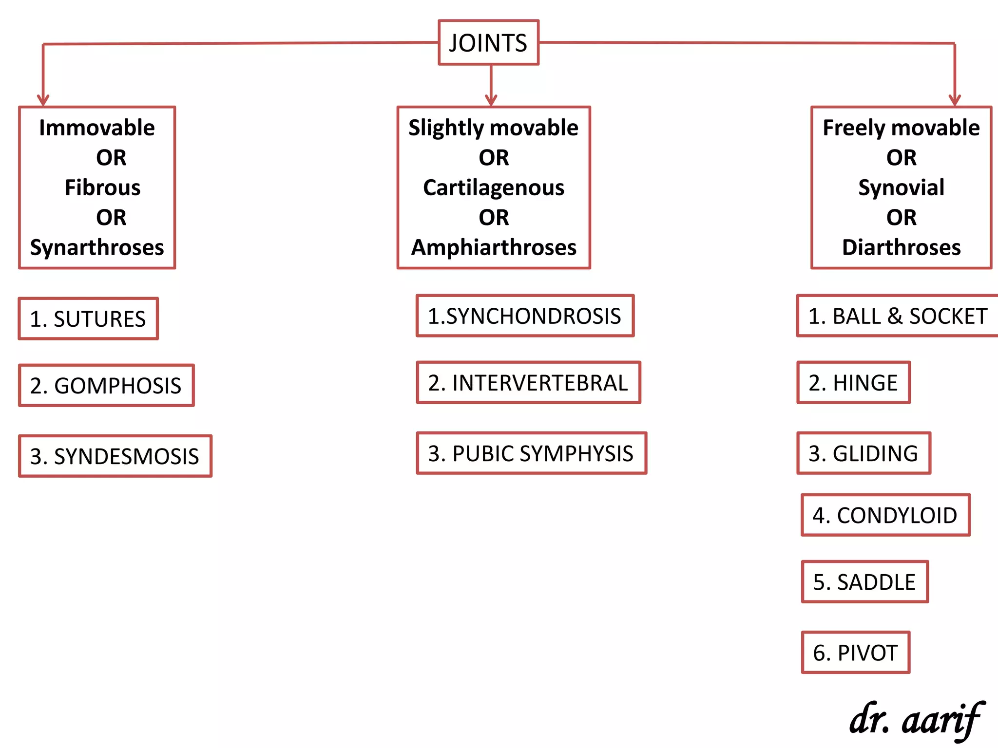 Joints | PPSX
