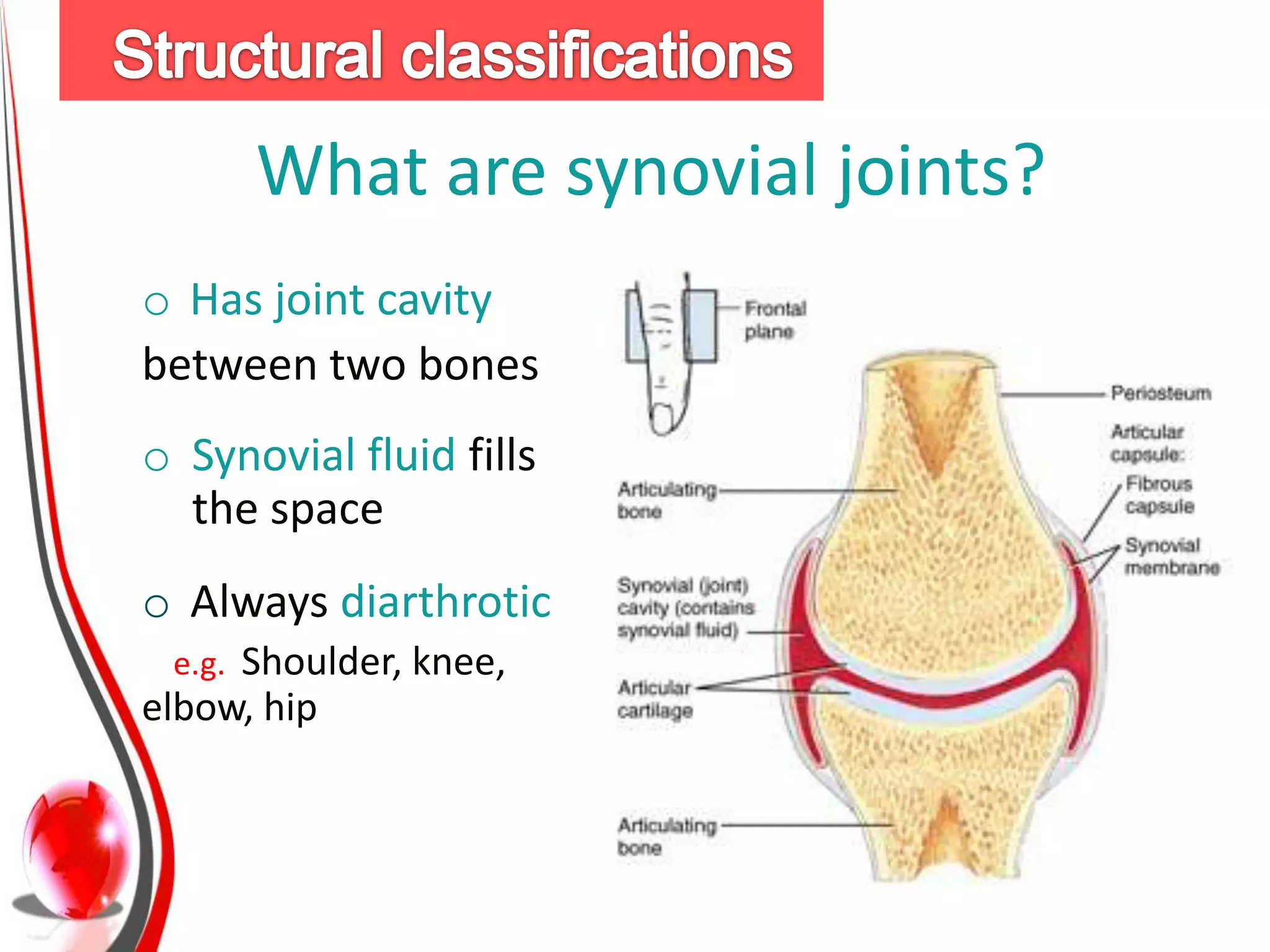 Joints | PPTX
