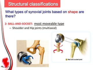 Joints | PPTX | Death, Injury, or Military Conflict | Sensitive Topics