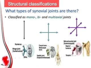 Types Of Synovial Joints Table